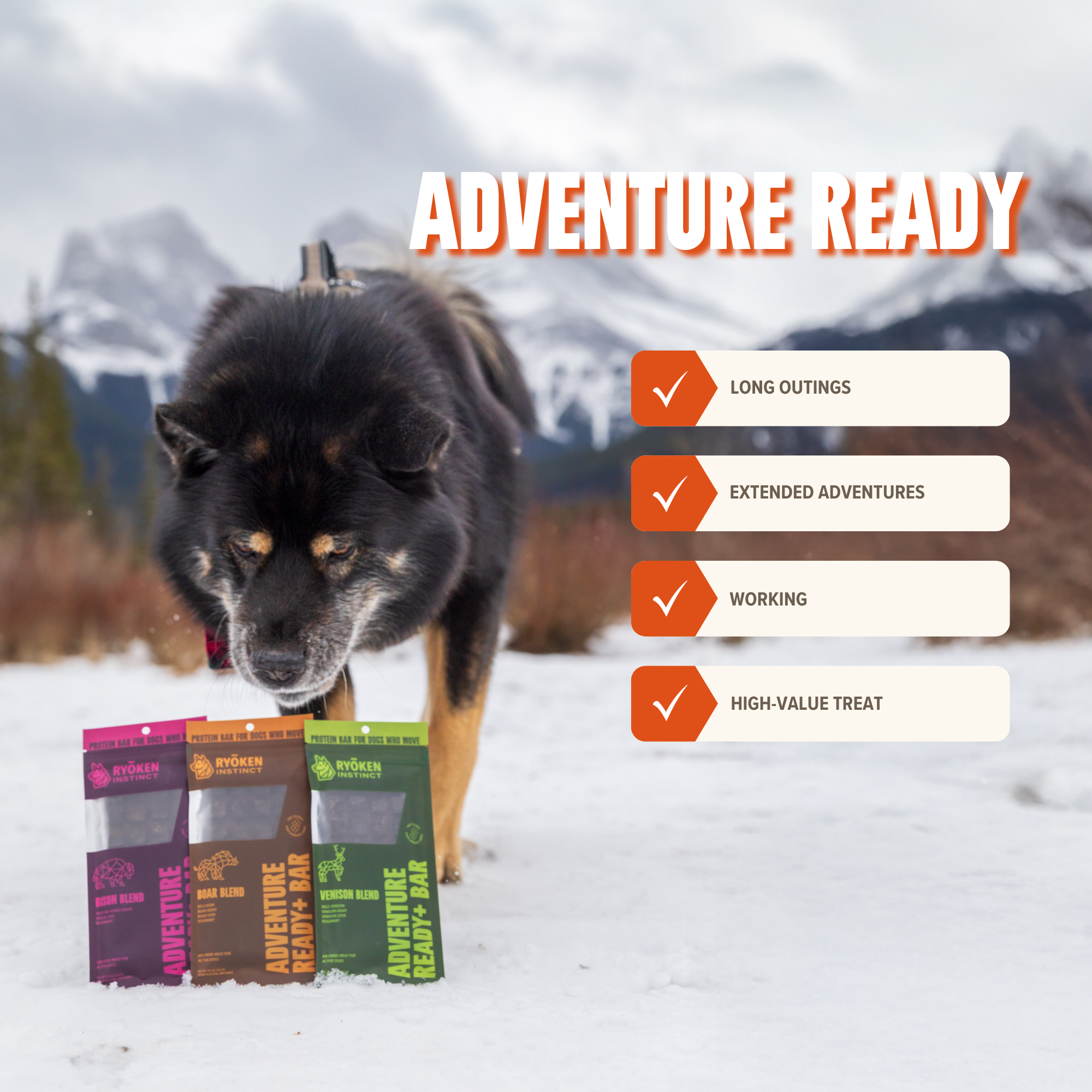 Ryōken Instinct Variety Treat Bars for Dogs Adventure & Training