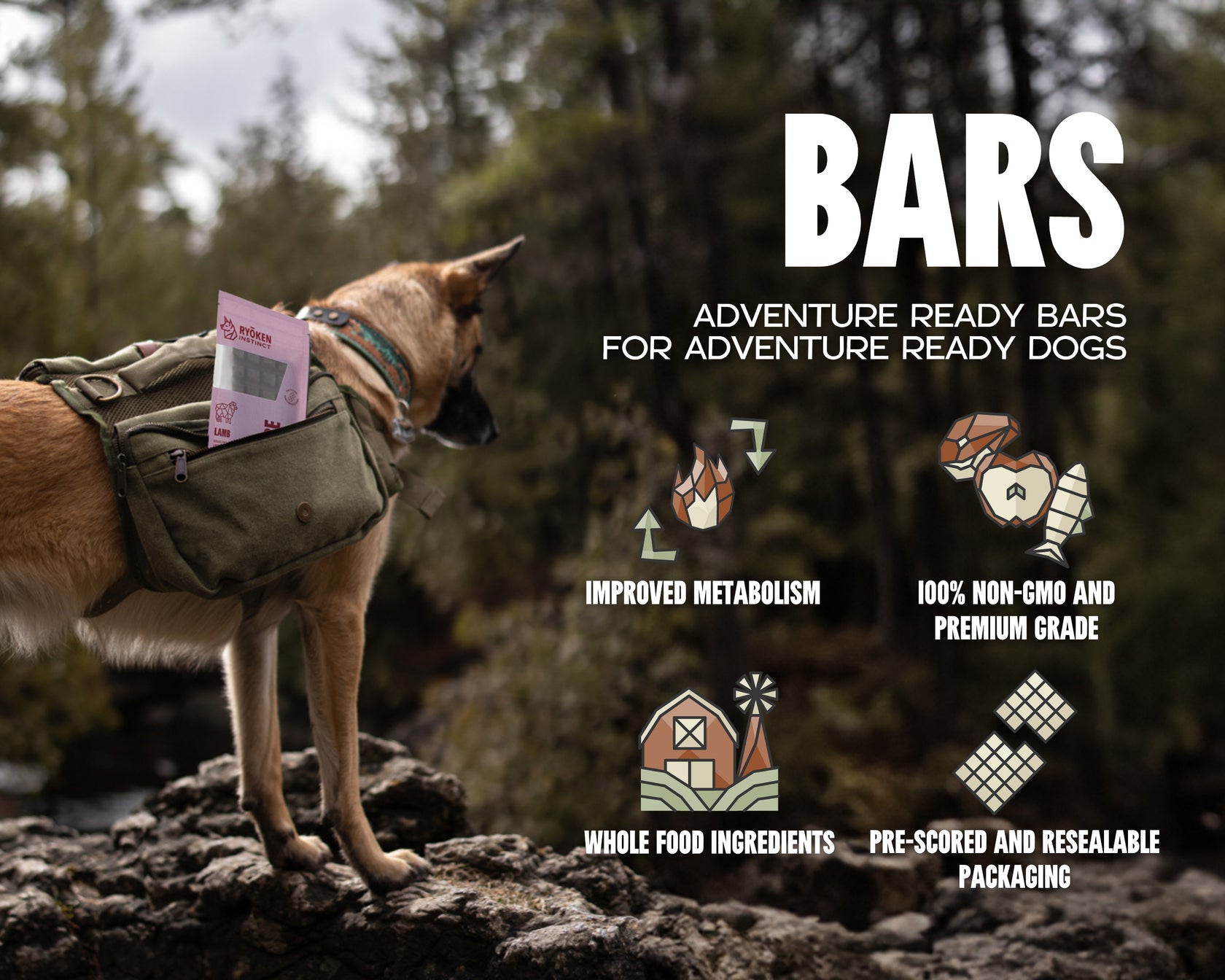 ADVENTURE READY BARS – Ryōken Instinct
